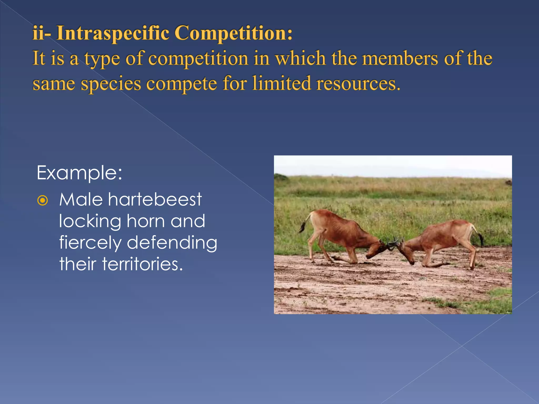 Ecological interactions between animals | PDF