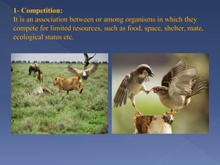 Ecological interactions between animals | PDF