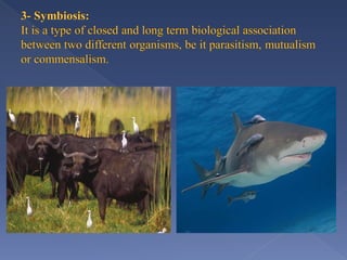 Ecological interactions between animals | PDF