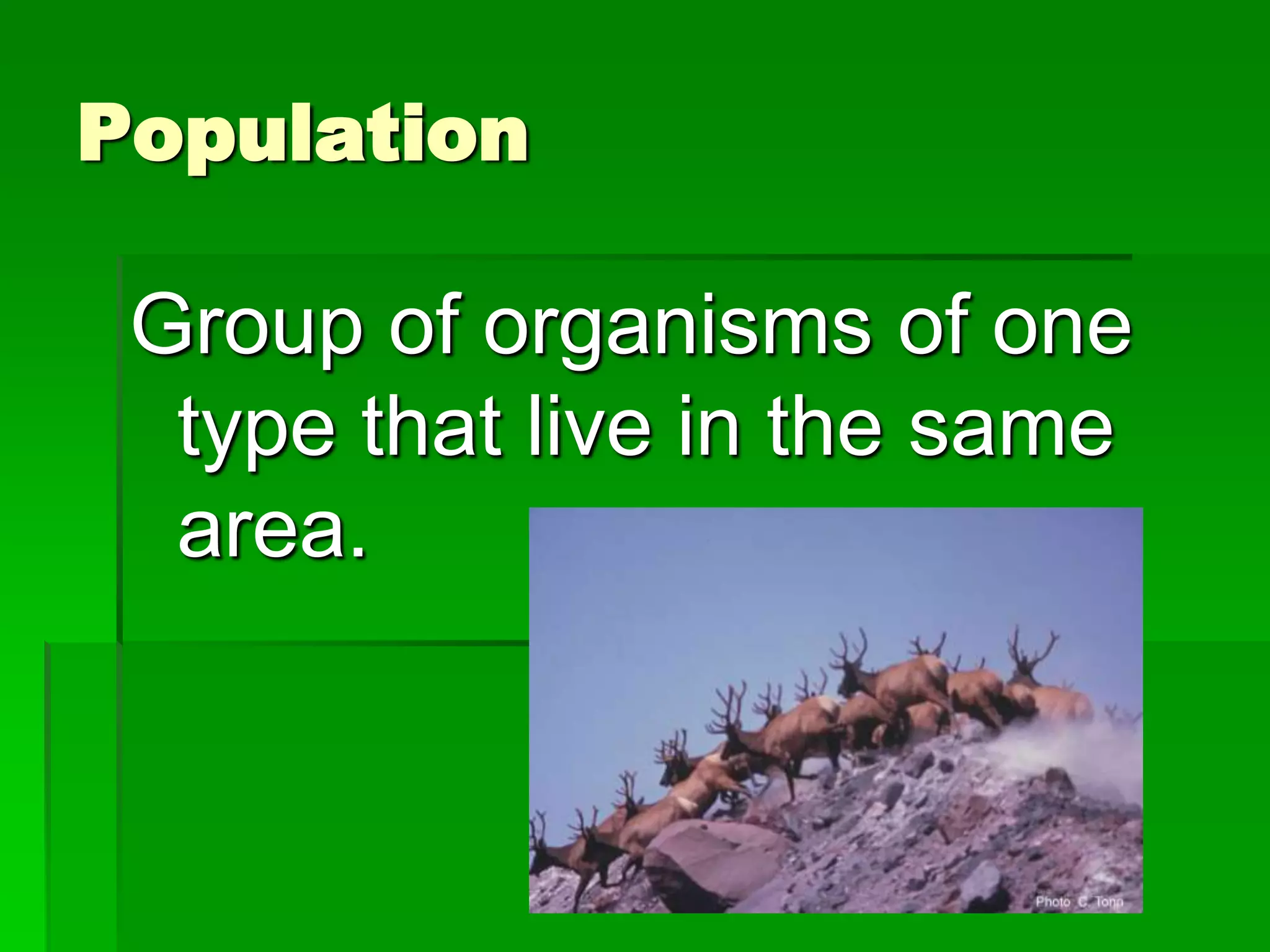 Ecological levels of organization | PPTX