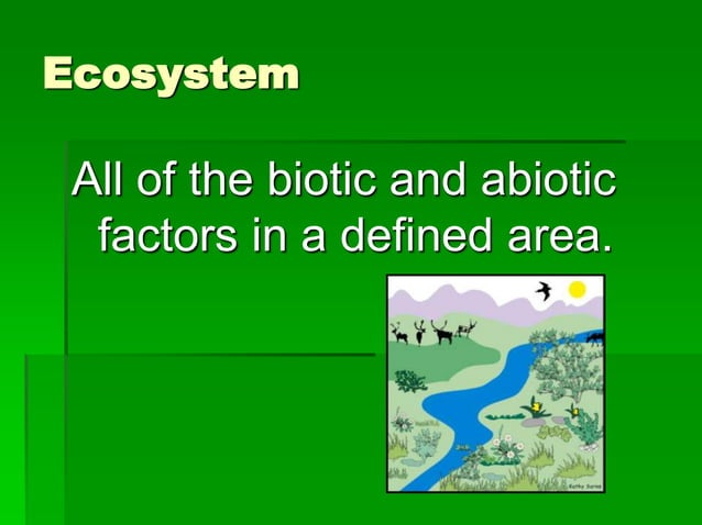 Ecological levels of organization | PPTX | Biological Sciences | Science