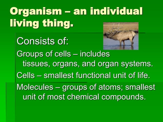 Ecological levels of organization | PPTX | Biological Sciences | Science