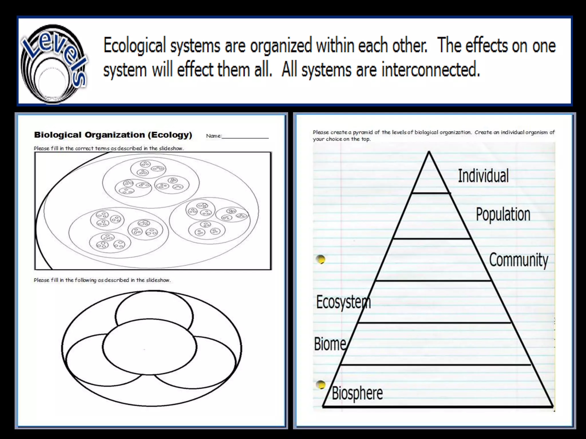 Levels of Ecological Organization Lesson PowerPoint | PPTX | Biological ...