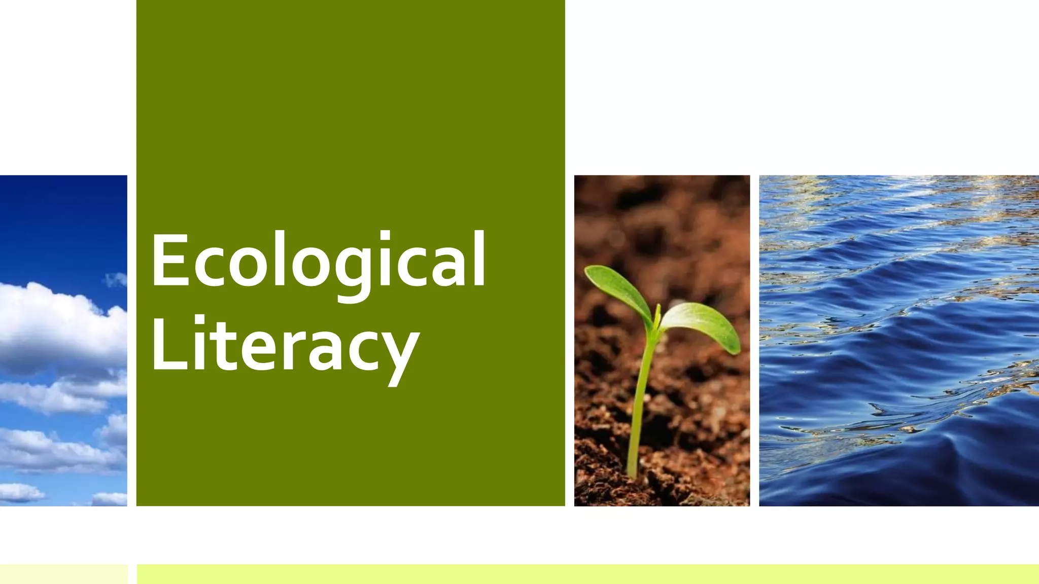 Ecological literacy | PPTX