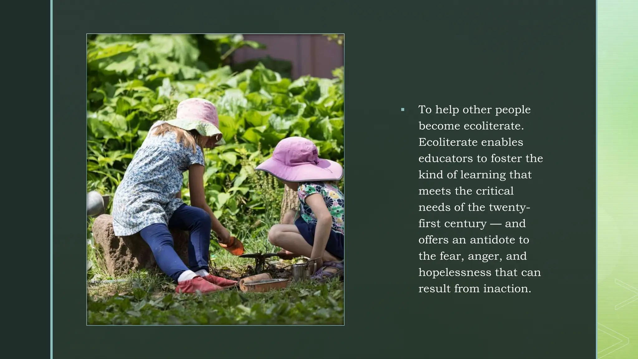 Understanding Ecological Literacies .pptx
