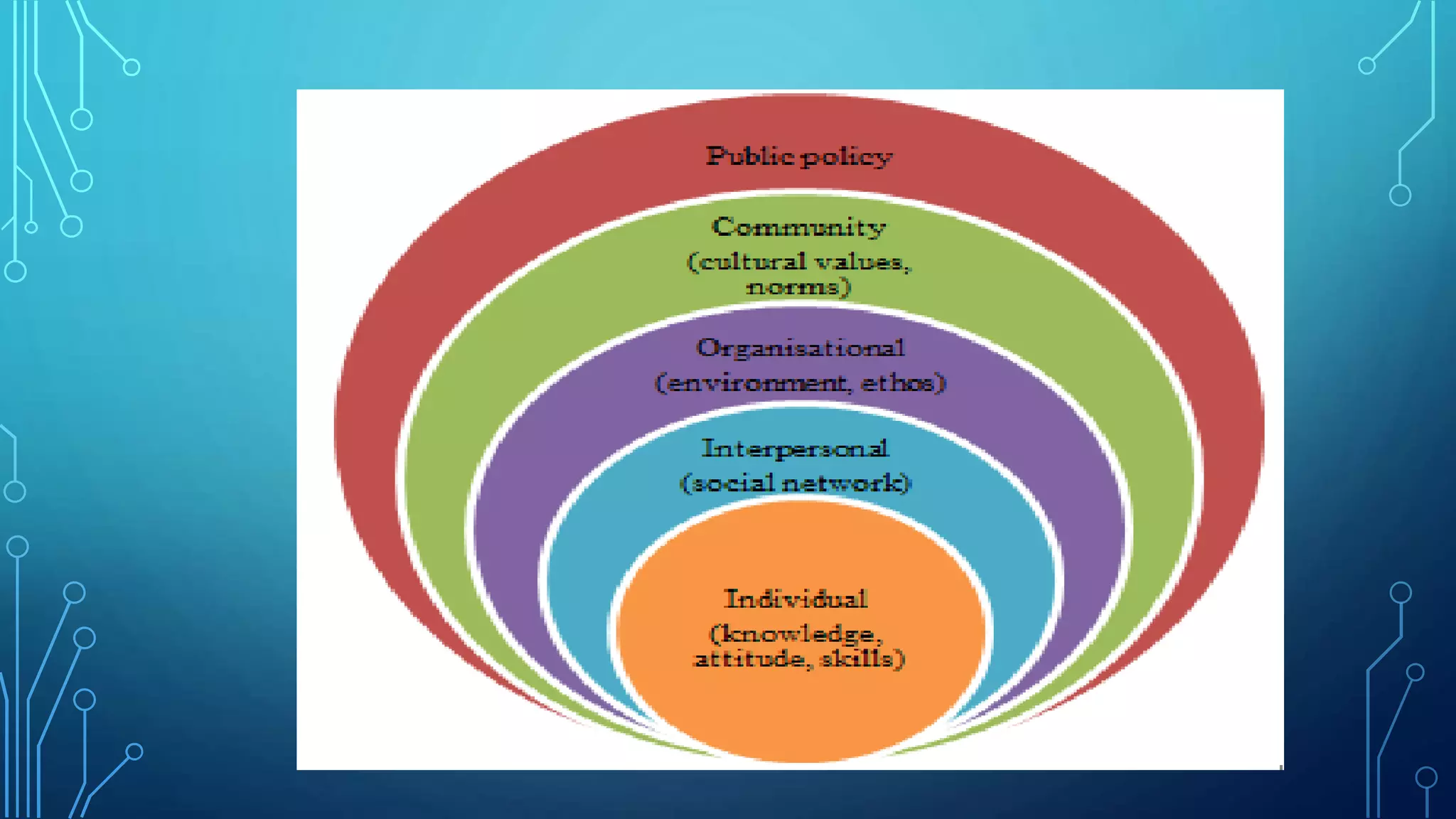 Ecological Model.pptx