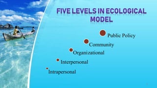 Ecological Model .pptx