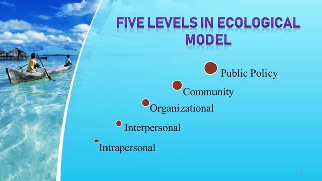 Ecological Model .pptx