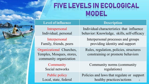 Ecological Model .pptx