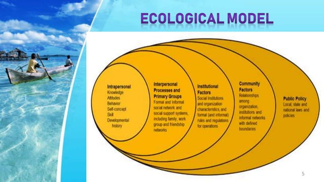 Ecological Model .pptx