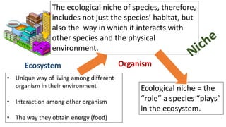 Ecological niche | PPTX