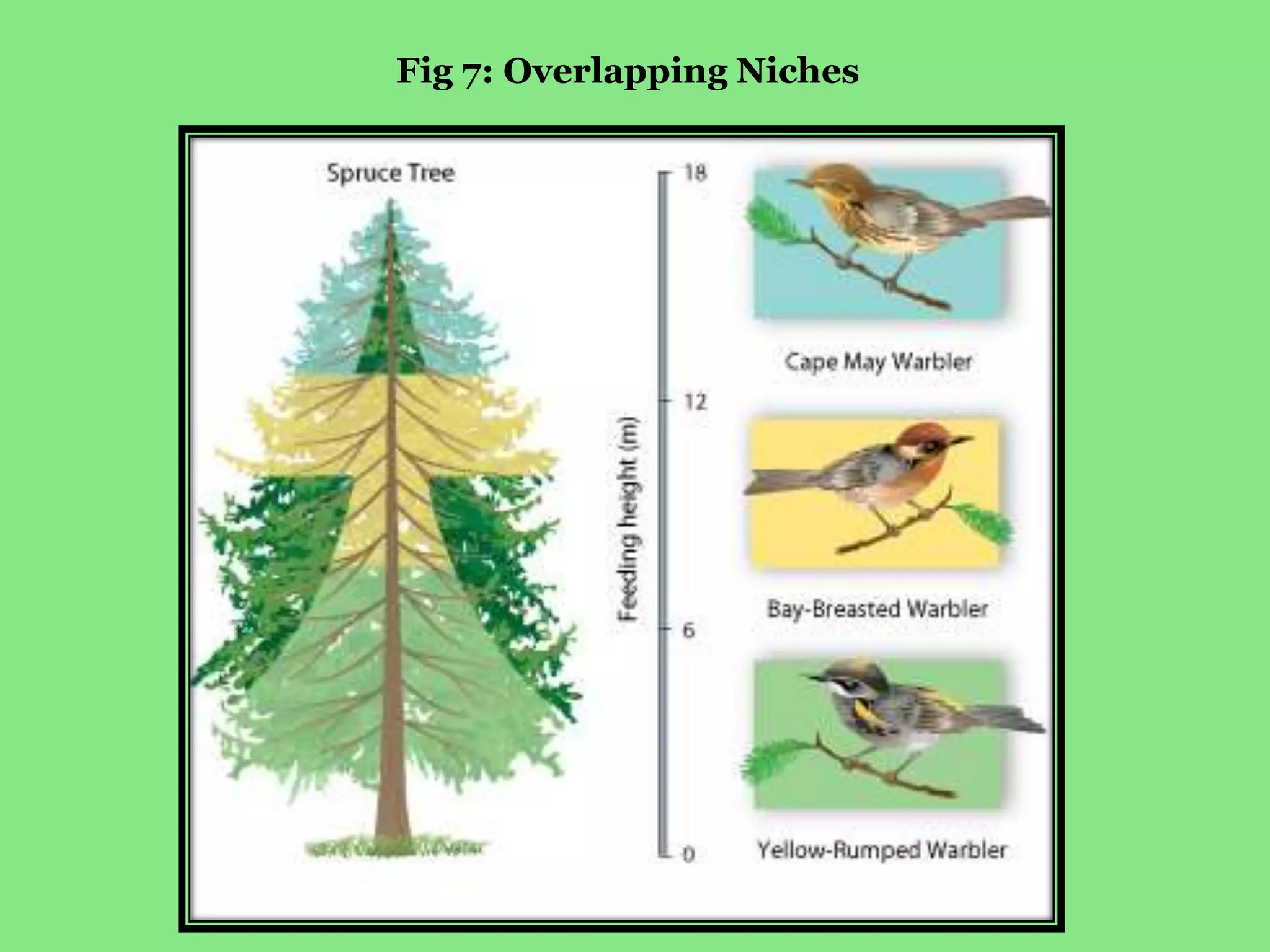 Ecological niche | PPTX