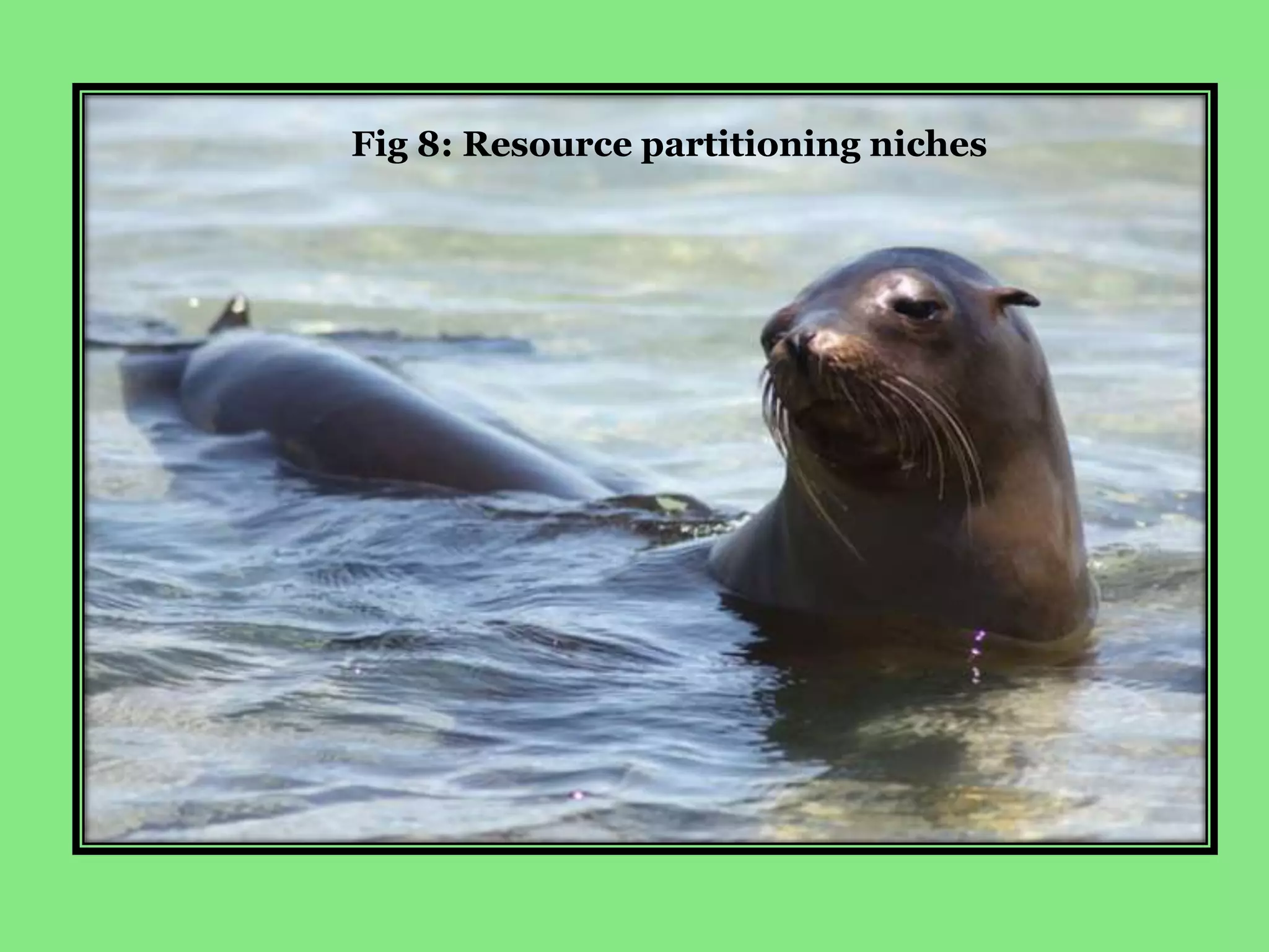 Ecological niche | PPTX