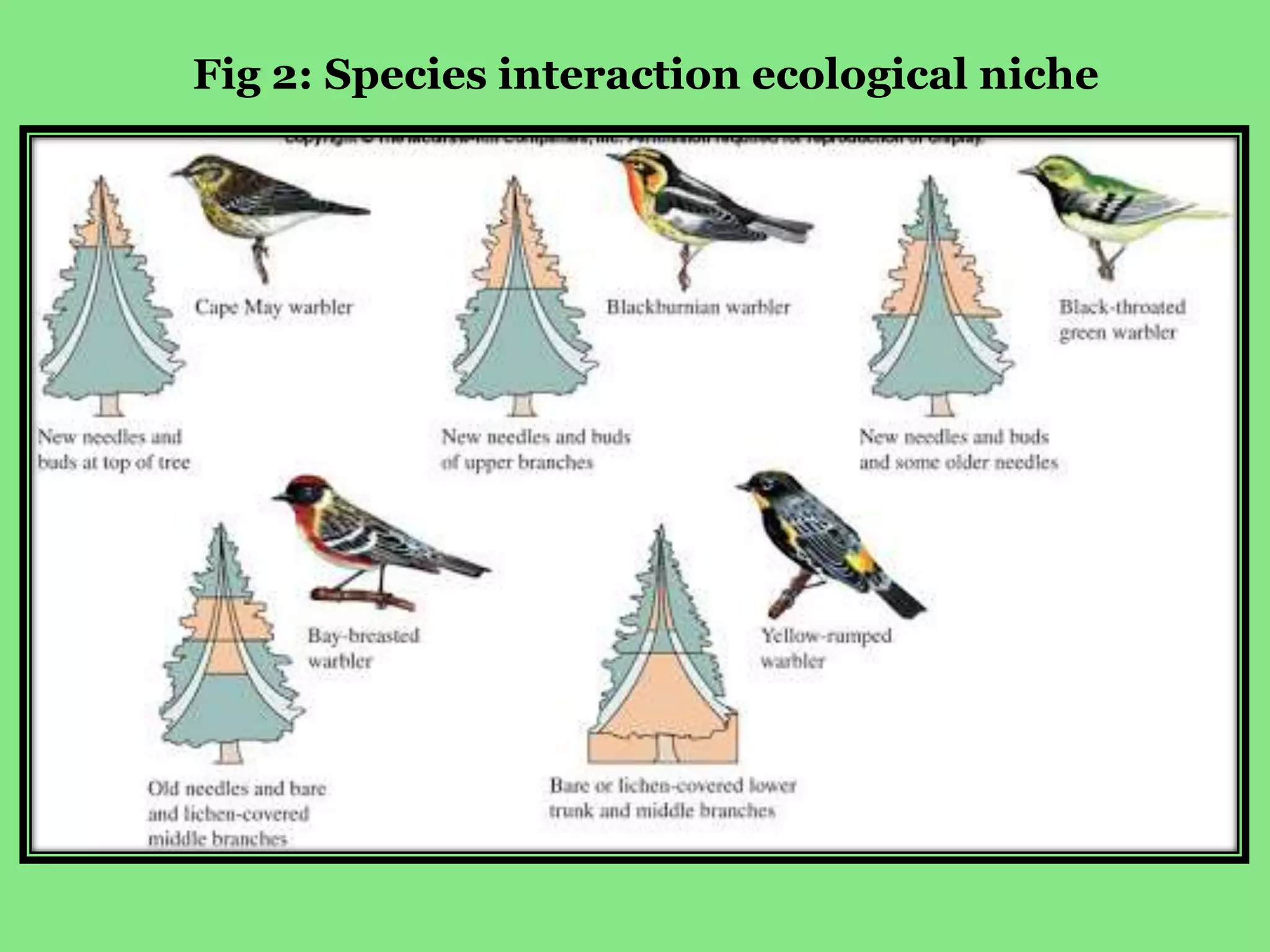 Ecological niche | PPTX