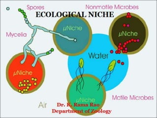 Ecological Niche Diagram