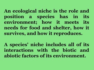 Ecological niche | PPT