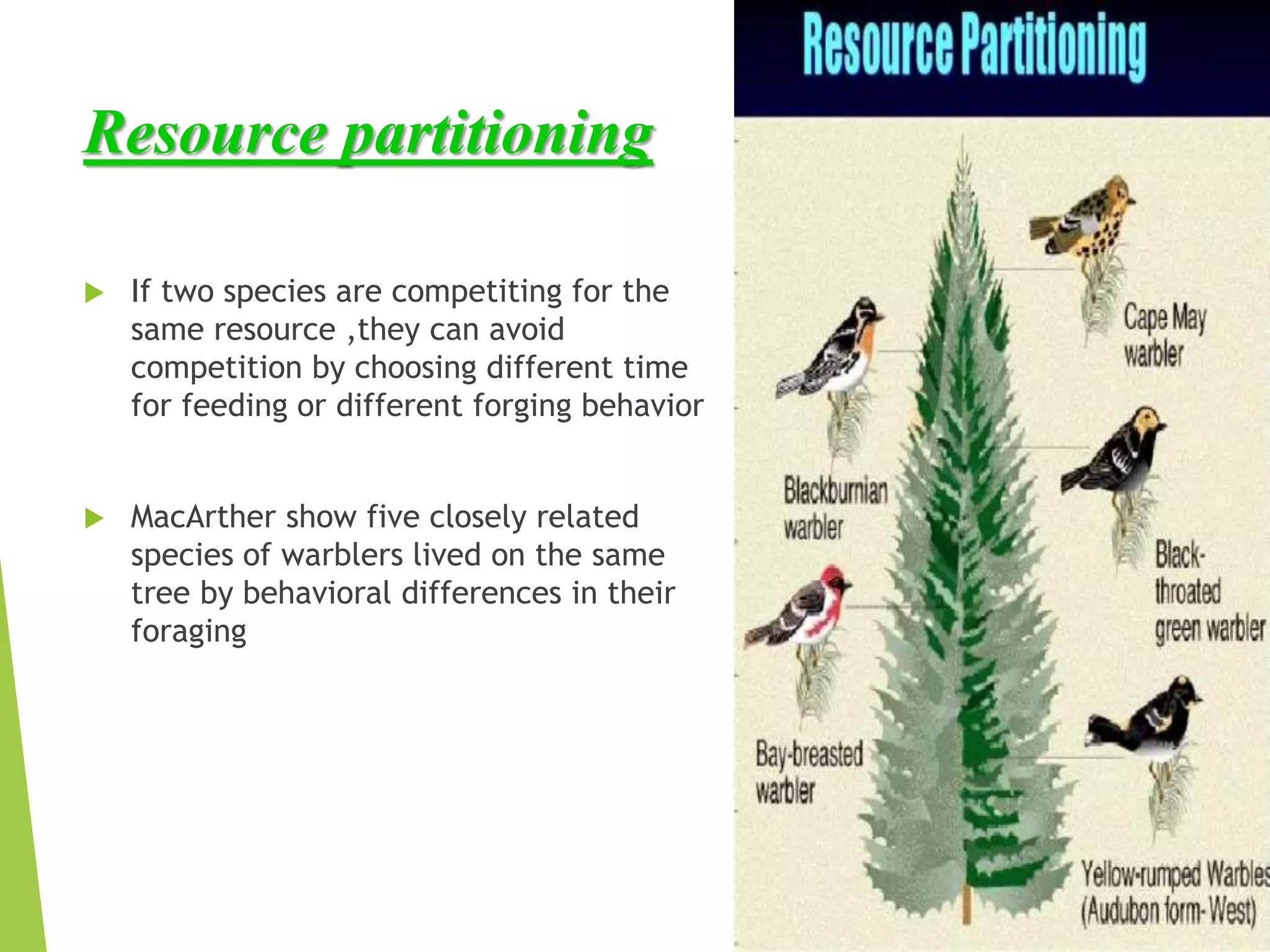 Ecological niche | PPTX