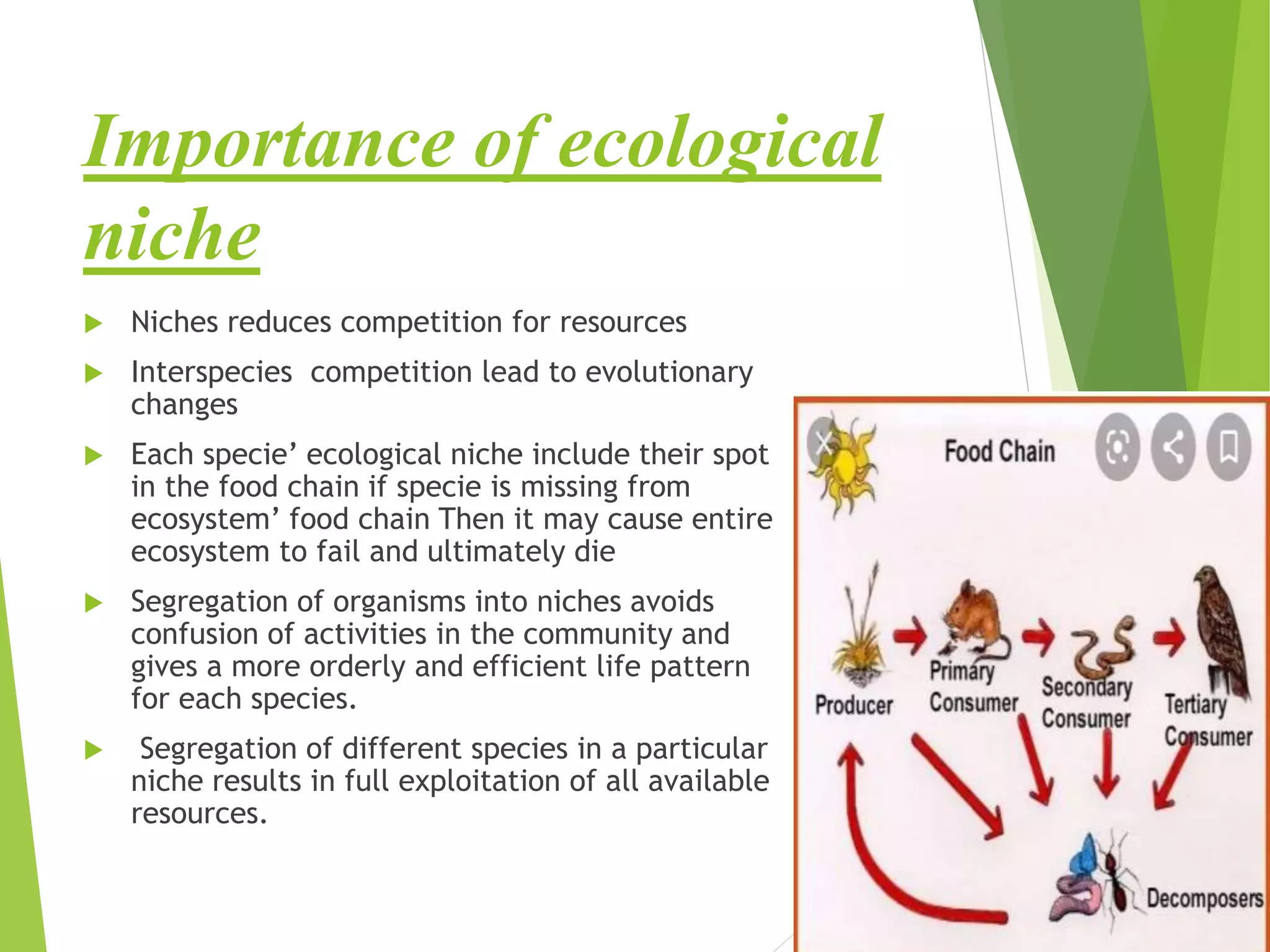 Ecological niche | PPTX