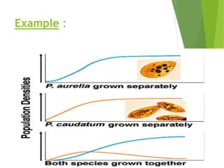 Ecological Niche Diagram