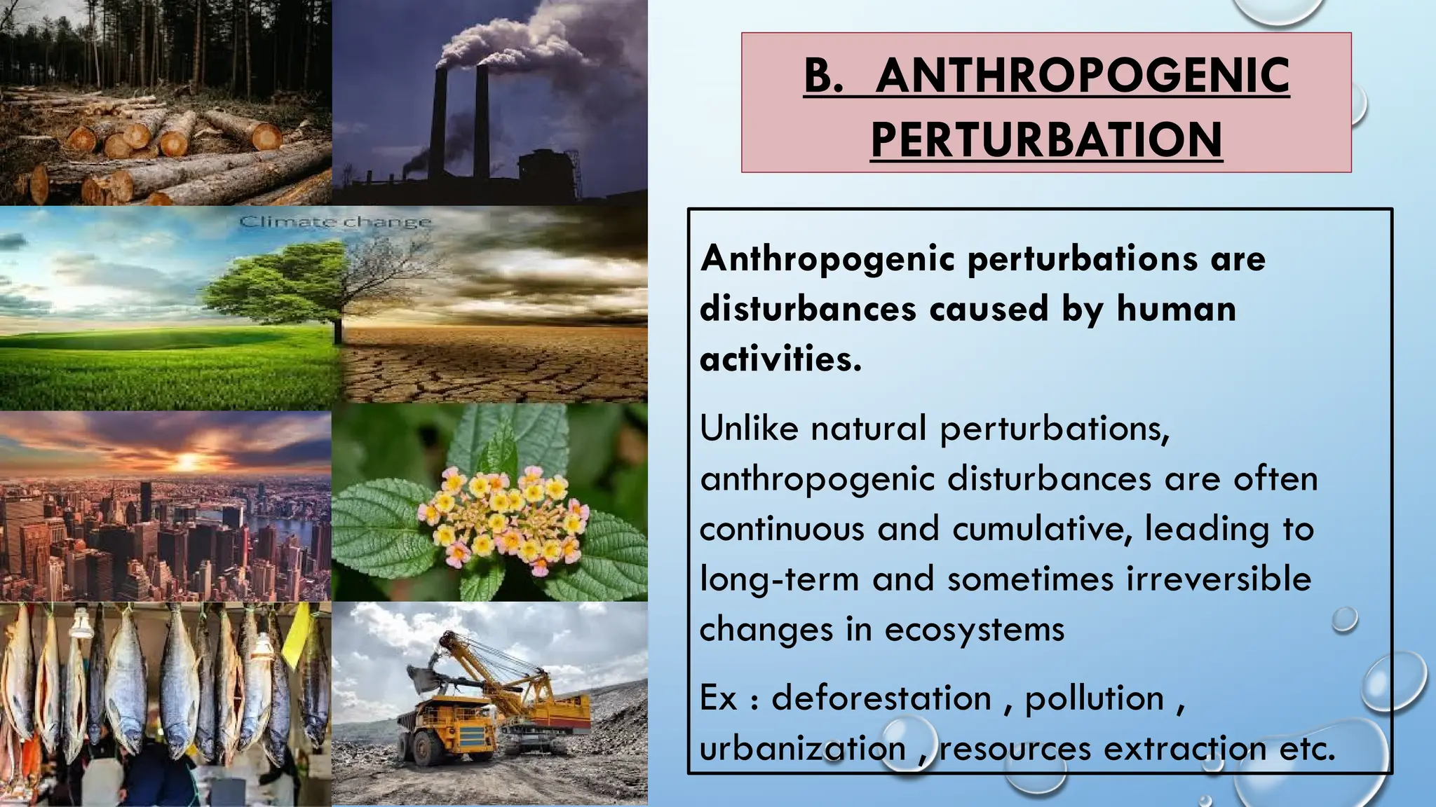 ecological perturbation (natural and anthropogenic).pptx