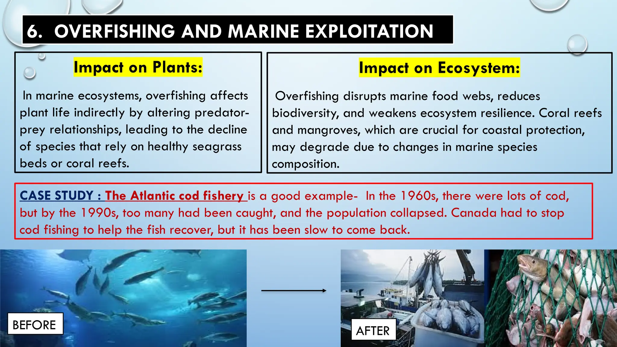 ecological perturbation (natural and anthropogenic).pptx