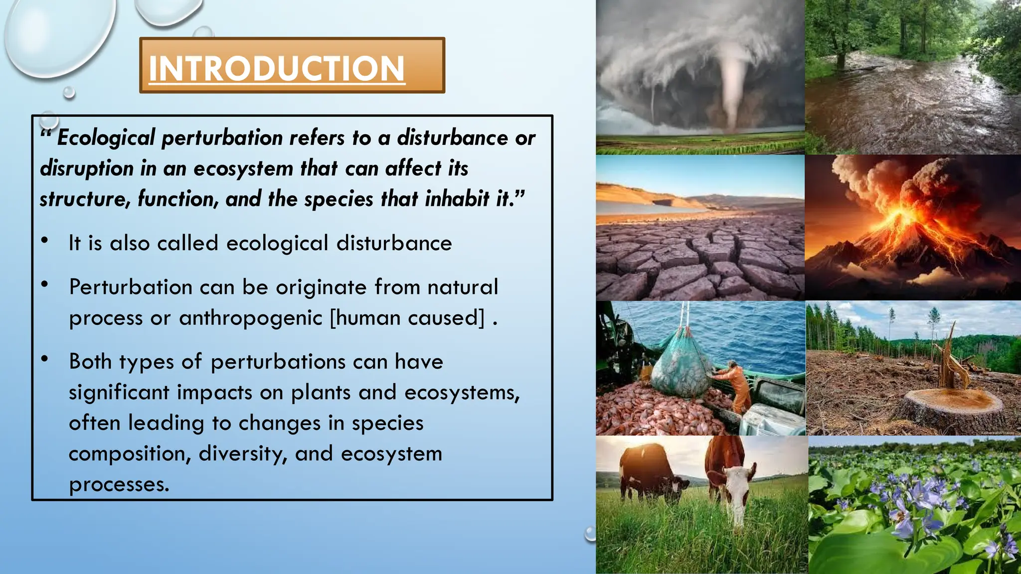 ecological perturbation (natural and anthropogenic).pptx