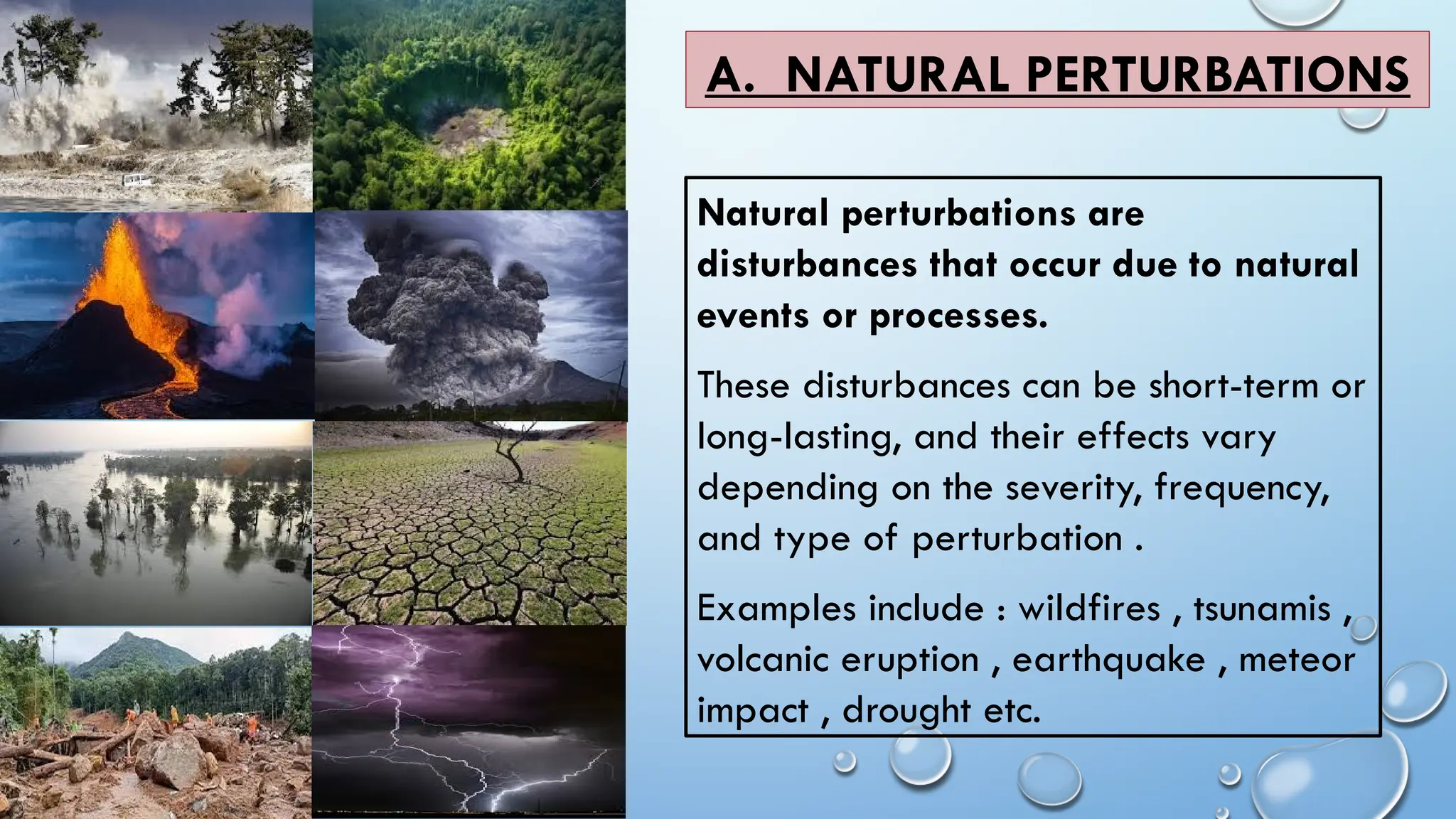 ecological perturbation (natural and anthropogenic).pptx
