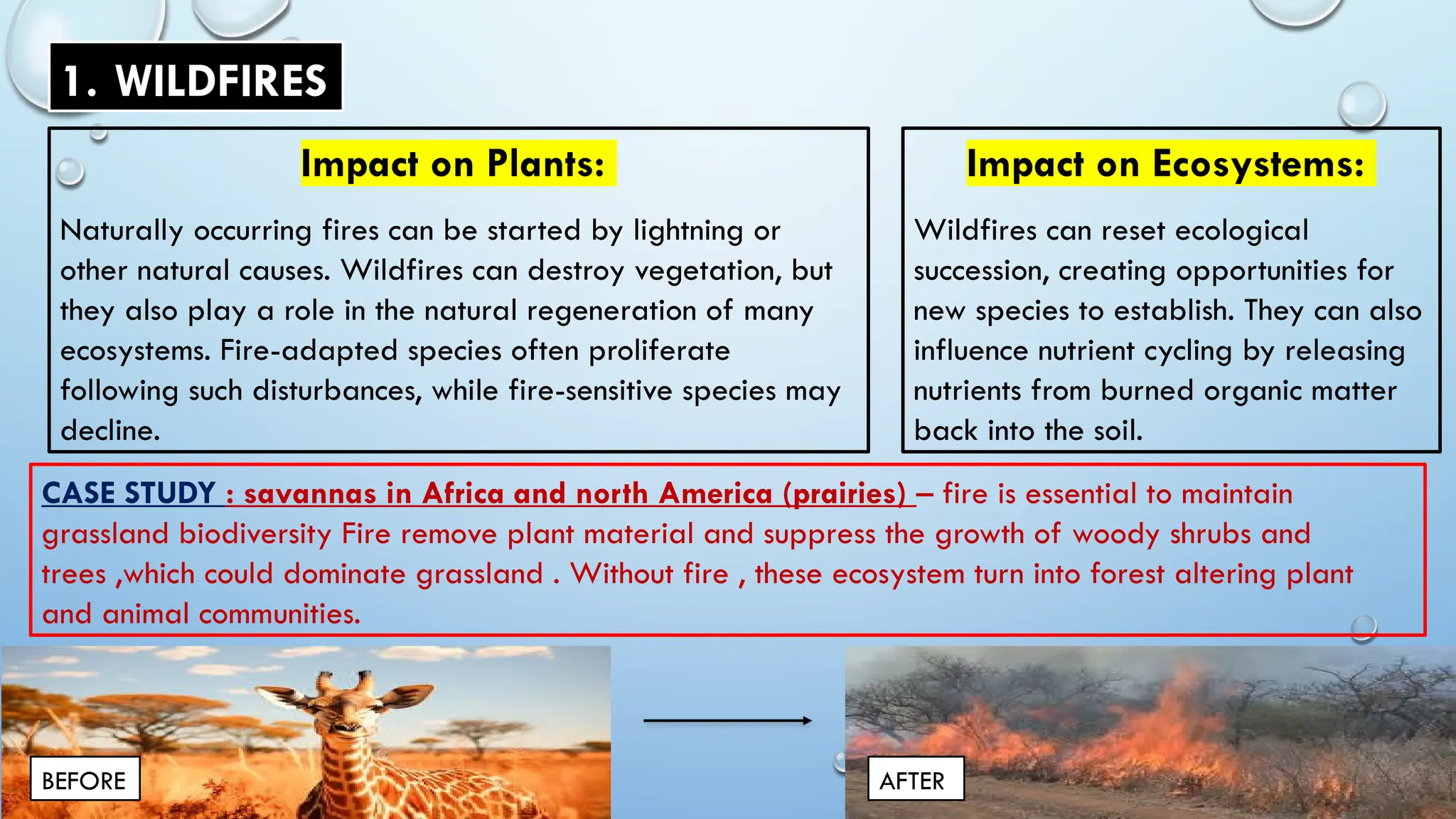 ecological perturbation (natural and anthropogenic).pptx