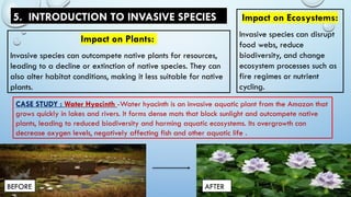 ecological perturbation (natural and anthropogenic).pptx