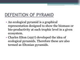 Ecological pyramid | PPTX