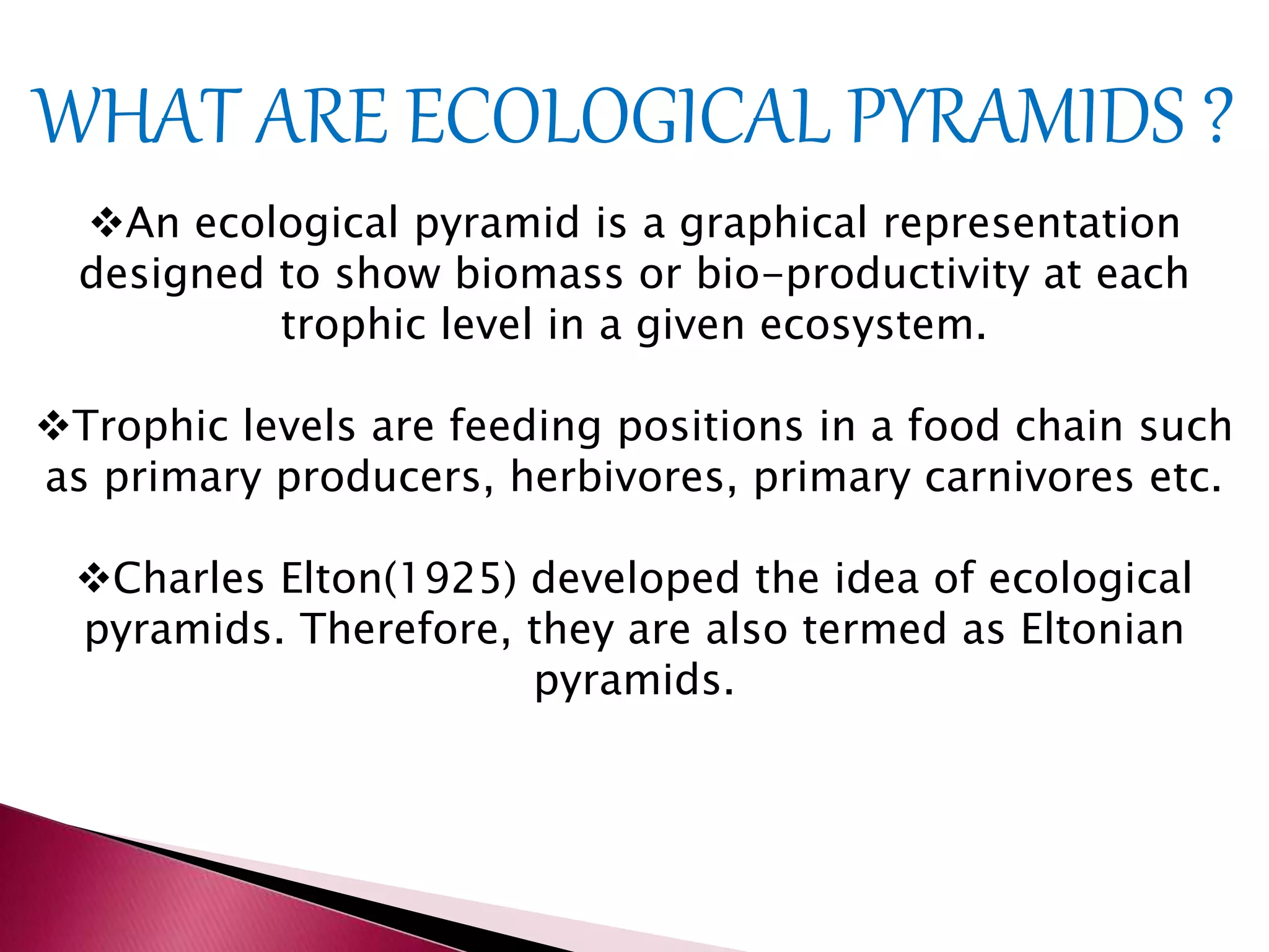 Ecological pyramid | PPTX