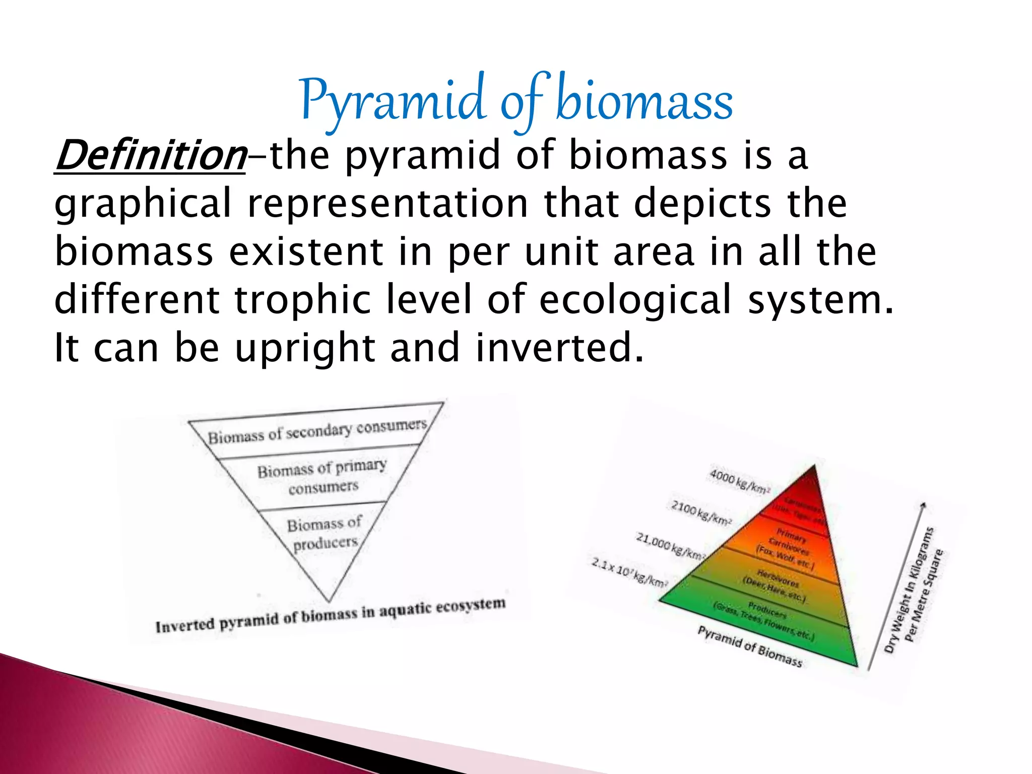 Ecological pyramid | PPTX