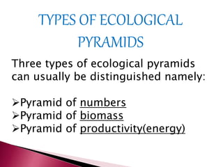 Ecological pyramid | PPTX