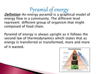 Ecological pyramid | PPTX