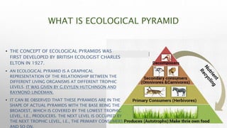 Ecological pyramid by ramkeshchauhan | PPT