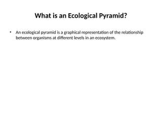 ecological_pyramid_presentatoficeion.pptx