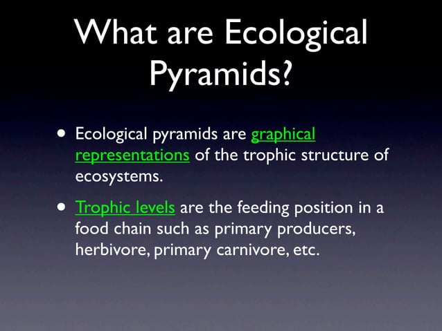 Ecological pyramids | KEY | Geography | Science