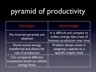 Pyramid Of Productivity