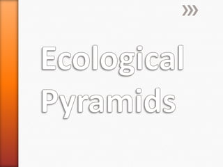 Ecological pyramids | PPT