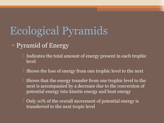 Ecological Pyramids and The Transfer of Energy in Ecosystems | PPT
