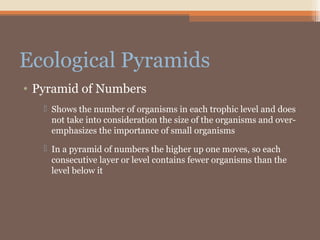 Ecological Pyramids and The Transfer of Energy in Ecosystems | PPT