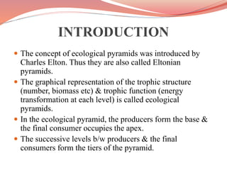 Ecological pyramids | PPTX