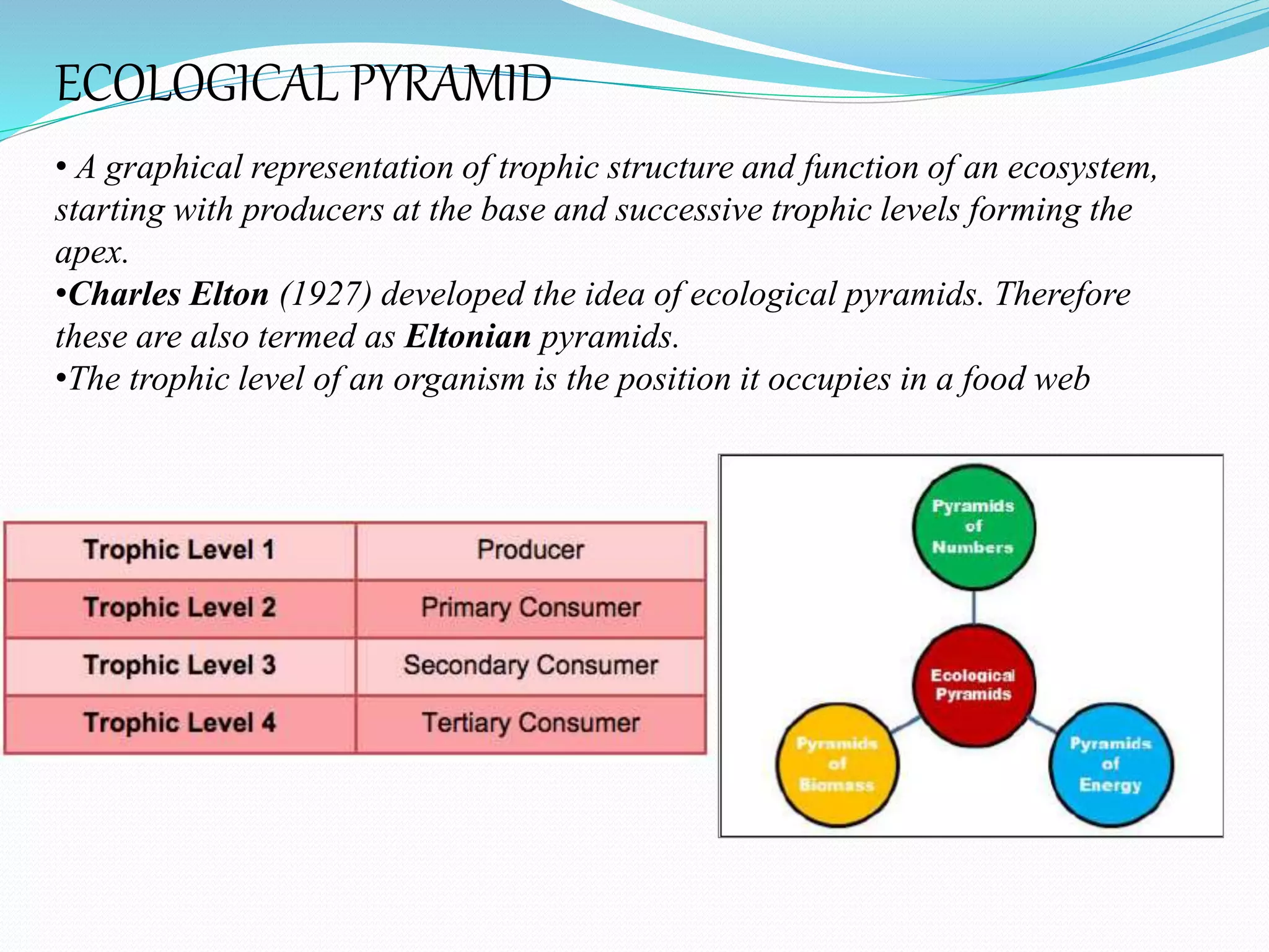Ecological pyramids | PPTX