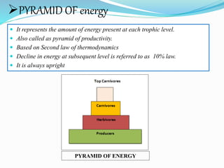 Ecological pyramids | PPTX