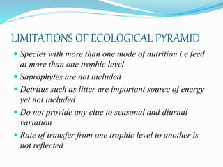 Ecological pyramids | PPTX