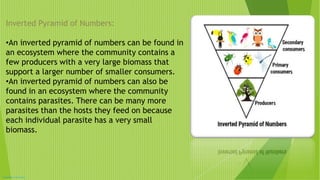 Ecologicalpyramids pyraminds | PPT