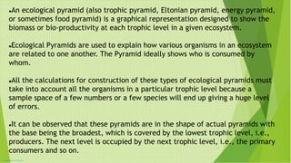 Ecologicalpyramids pyraminds | PPT