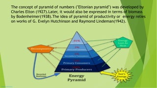 Ecologicalpyramids pyraminds | PPT