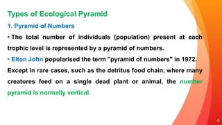 Ecological pyramids - IMSc II Semester notes in detail.ppt