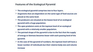 ECOLOGICAL PYRAMIDS from Environmental Science | PPTX